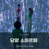 담양 소아르떼 실내 놀거리 미디어아트 전시 아이와 다녀온 후기 네이버 블로그